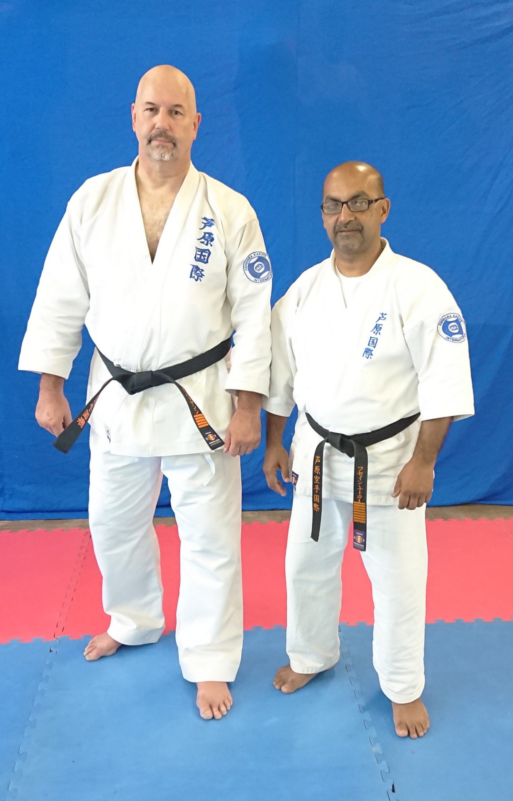 Ashihara Karate Sabaki Book » The Book
