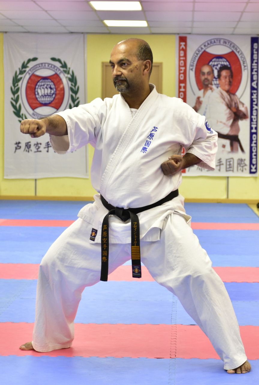 Ashihara Karate Sabaki Book » The Book