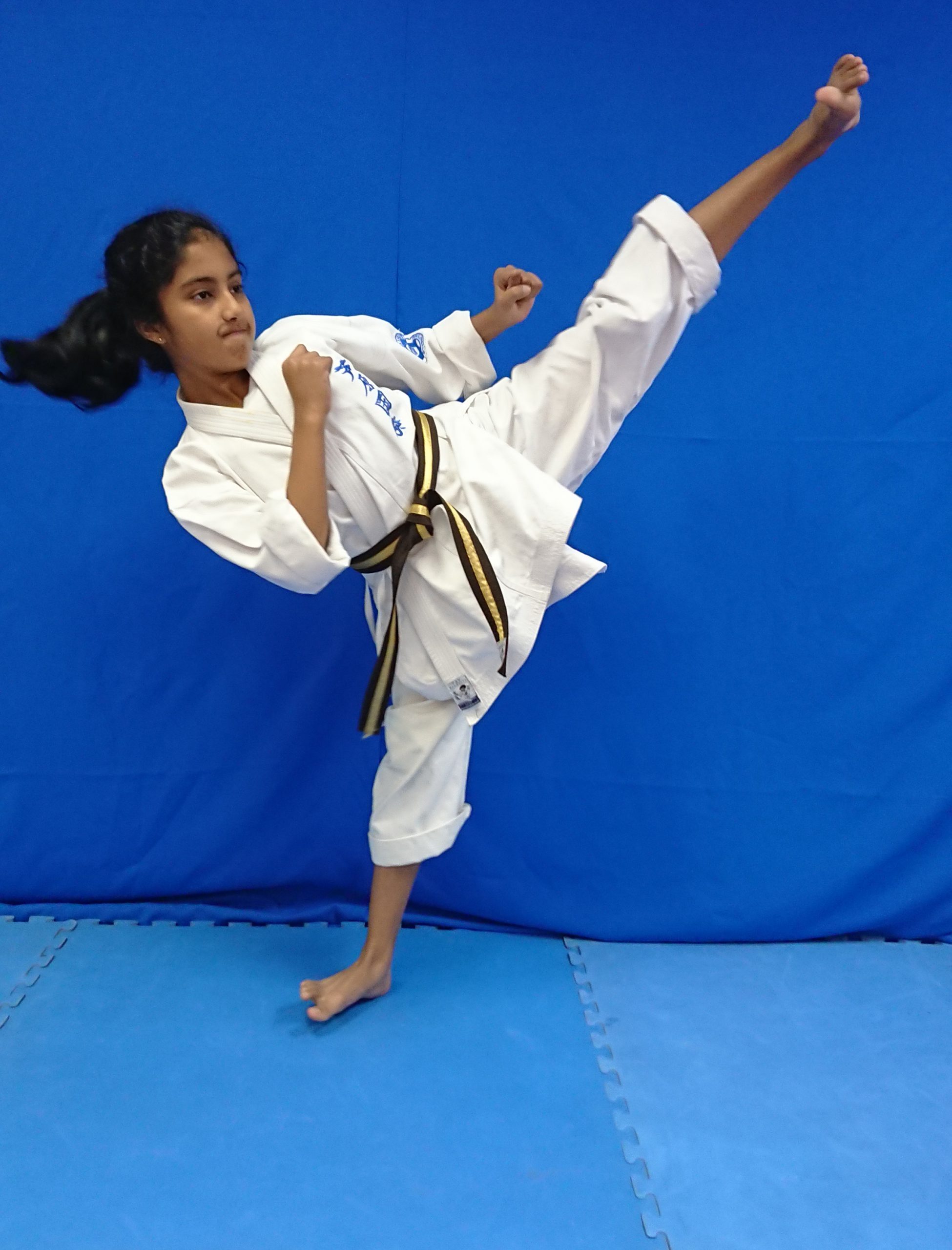 Ashihara Karate Sabaki Book » The Book